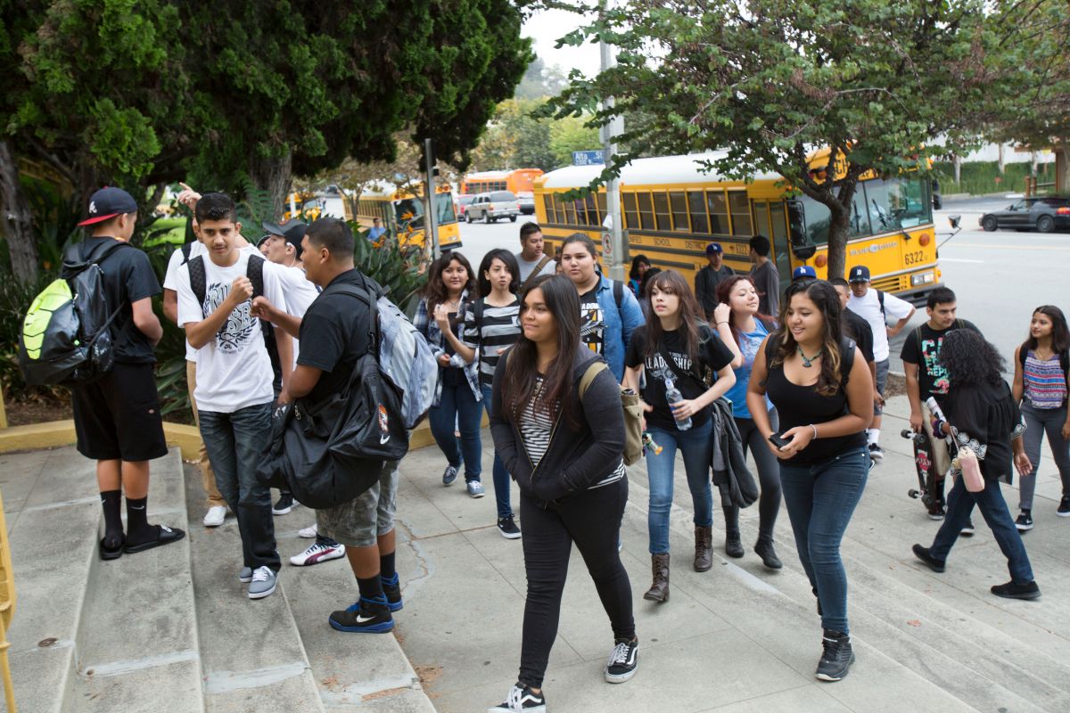 La elección del jefe escolar - La Opinión