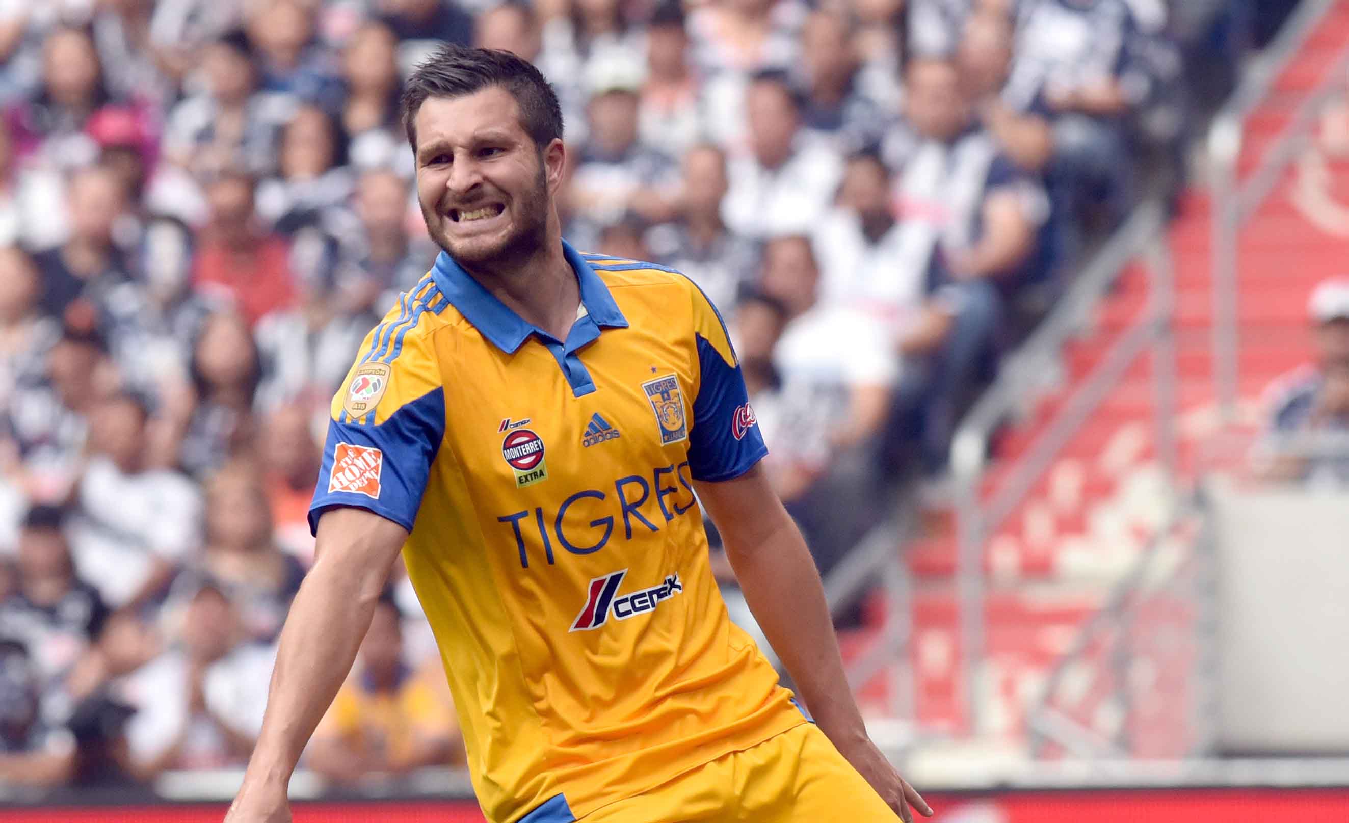 Para Gignac sería un orgullo obtener la nacionalidad mexicana | La Opinión
