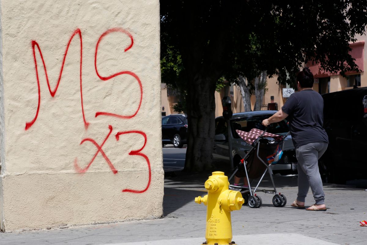 Un líder de la pandilla MS-13 en Hollywood se declara culpable de ...