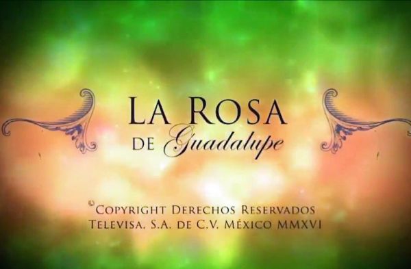 ¿A qué se debe el éxito de ‘La Rosa de Guadalupe’, serie de Televisa y ...