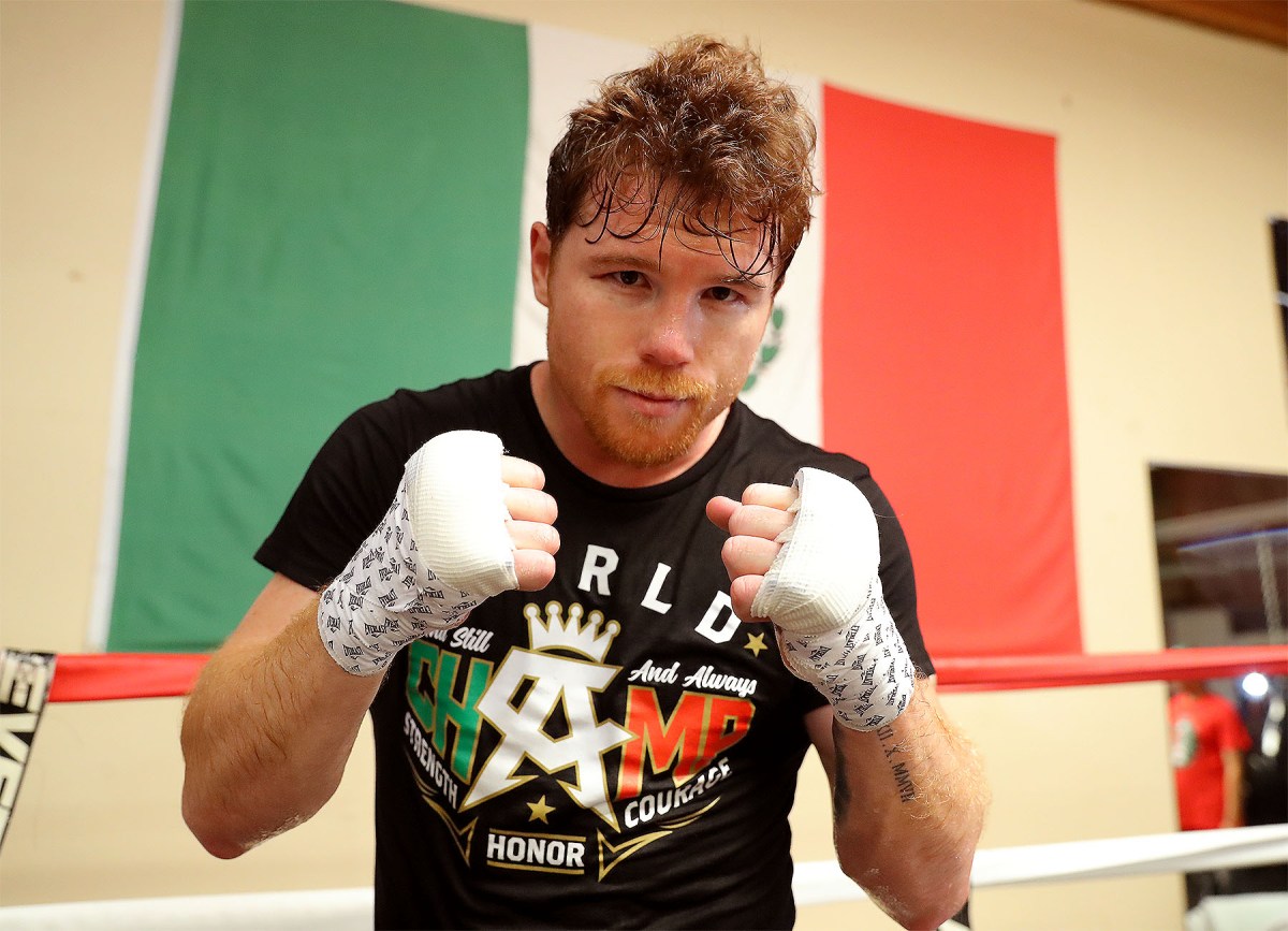 Canelo dijo lo que espera del presidente electo Andrés Manuel López ...