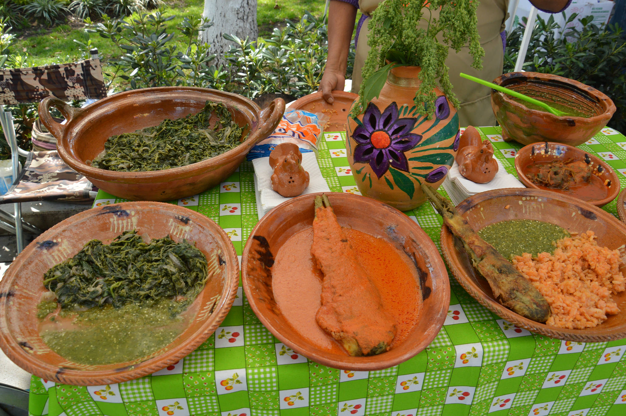 Quelites: los grandes beneficios alimenticios de estas plantas ...