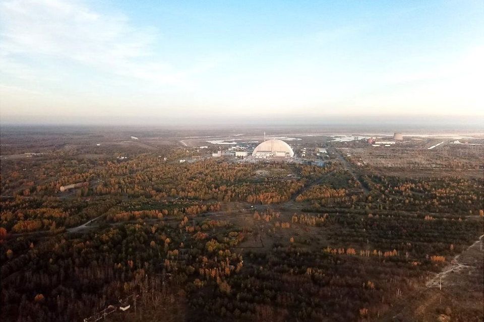 Chernobyl: cómo es el “bosque rojo”, uno de los lugares más radiactivos ...