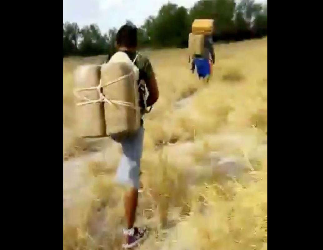 VIDEO: Así pasan por la frontera droga "las mulas" del Cártel del Golfo ...