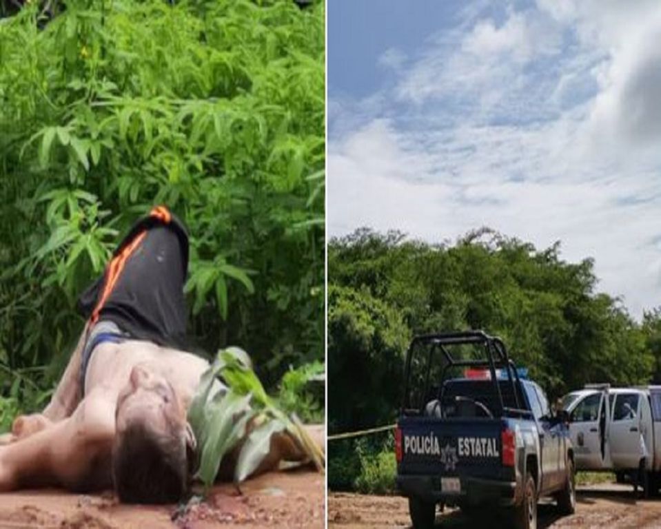 Dejan Un Muerto A Balazos Y Torturado En Territorio De El Mayo Zambada