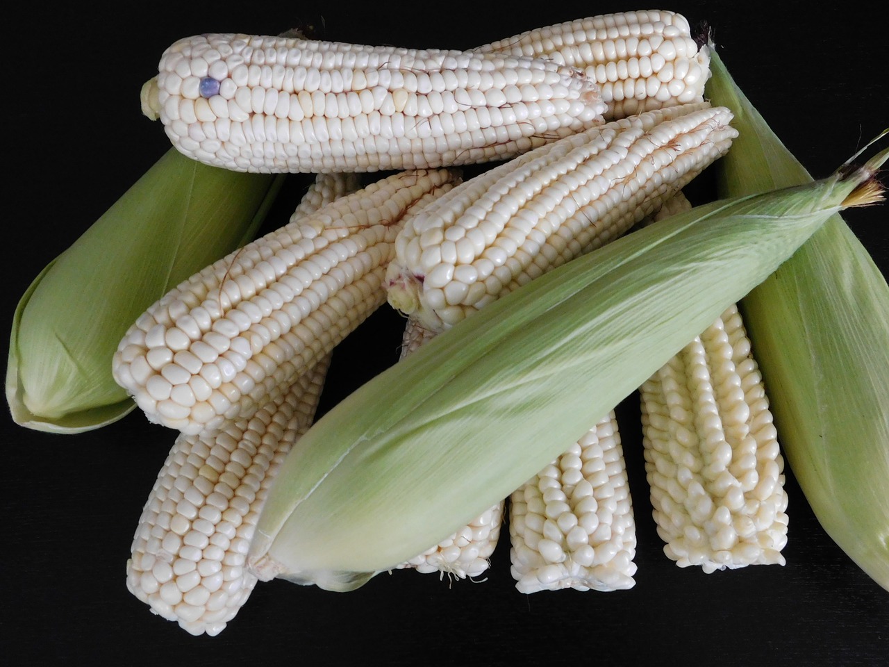 10 datos curiosos del maíz, alimento emblema de México | La Opinión