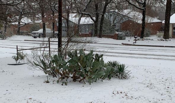 La nieve llegó al Norte de Texas después de las tormentas | La Opinión