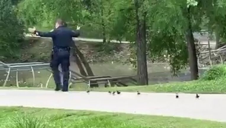 La imagen de un policía y unos patos se hace viral - La Opinión