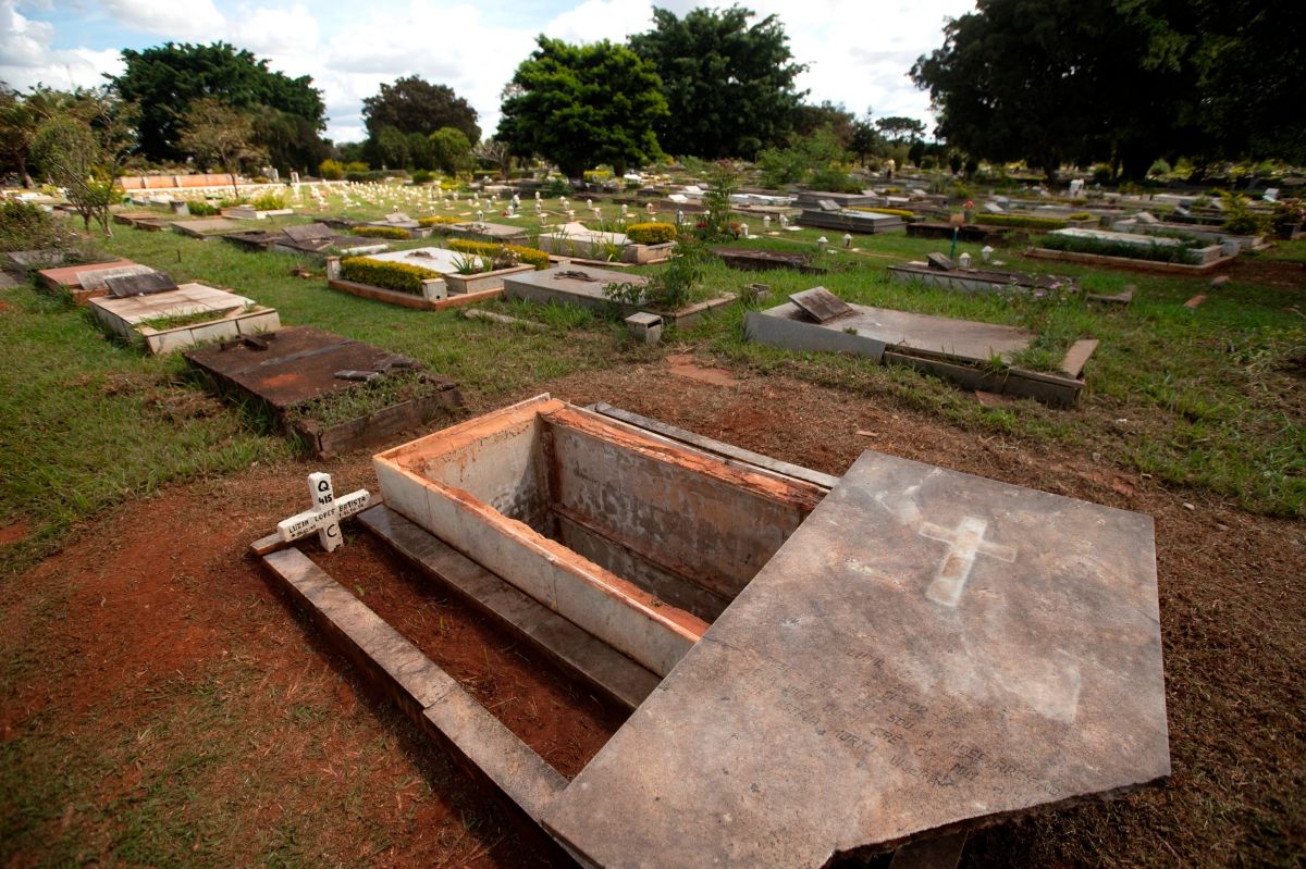 Noticias de tumba - La Opinión