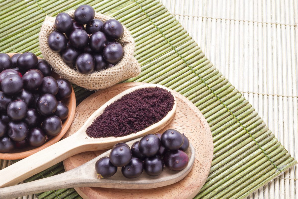Acai berry: la fruta del Amazonas ideal para incluir en tu dieta | La ...