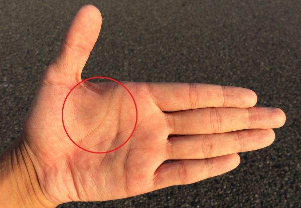 Qué significa la línea de vida en tu mano y qué revela sobre tu futuro ...