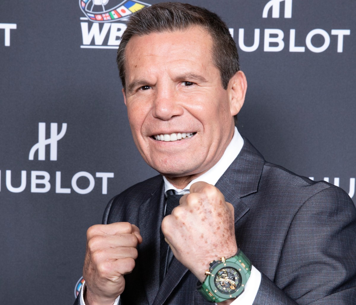 Julio César Chávez promete espectáculo: "Le daré la golpiza de su vida ...