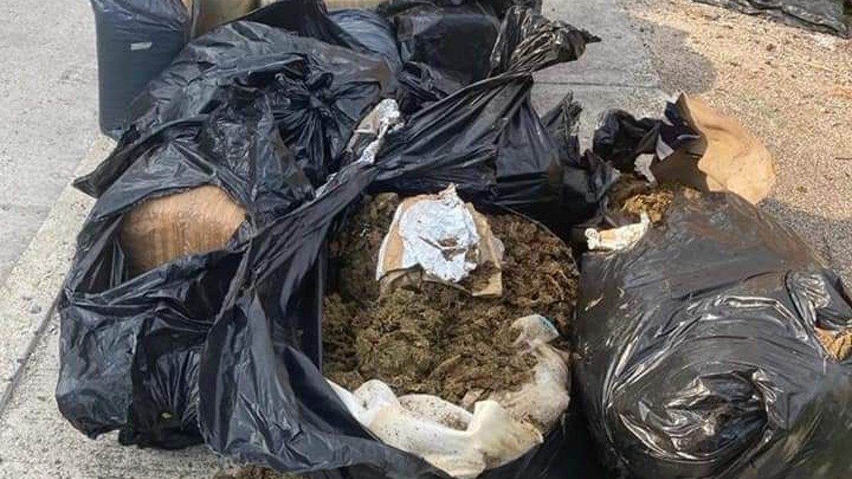 Abandonan 90 Kilos De Marihuana En Plena Calle De León Guanajuato La