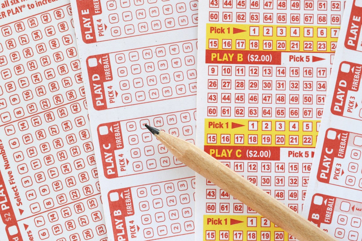 Sorteo De Powerball Lunes 13 De Febrero De 2023 En Vivo Números