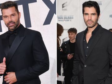 Así era el supuesto nidito de amor que Ricky Martin compartía con ...
