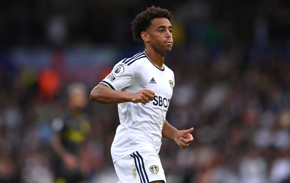 Tyler Adams se lesiona a menos de un mes para el Mundial de Qatar 2022 ...