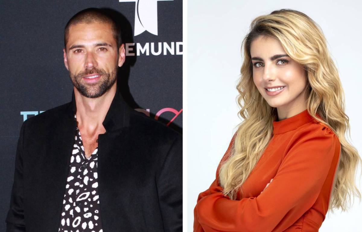Matías Novoa habla de sus planes de boda con Michelle Renaud y confiesa ...