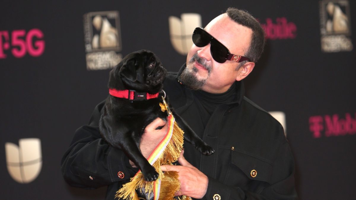 Pepe Aguilar es lastimado por las mordeduras de uno de sus hijos y así ...