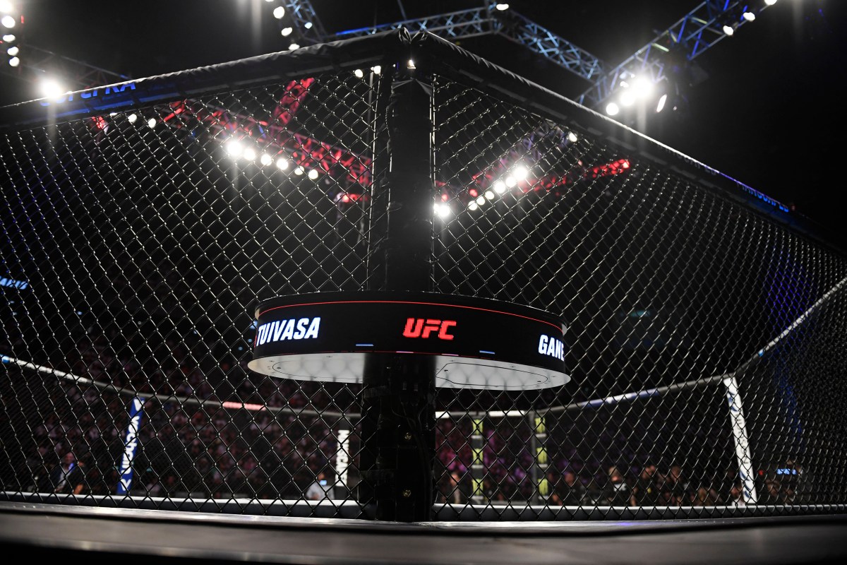 Alexander Pisarev, el peleador ruso de MMA que murió repentinamente y ...