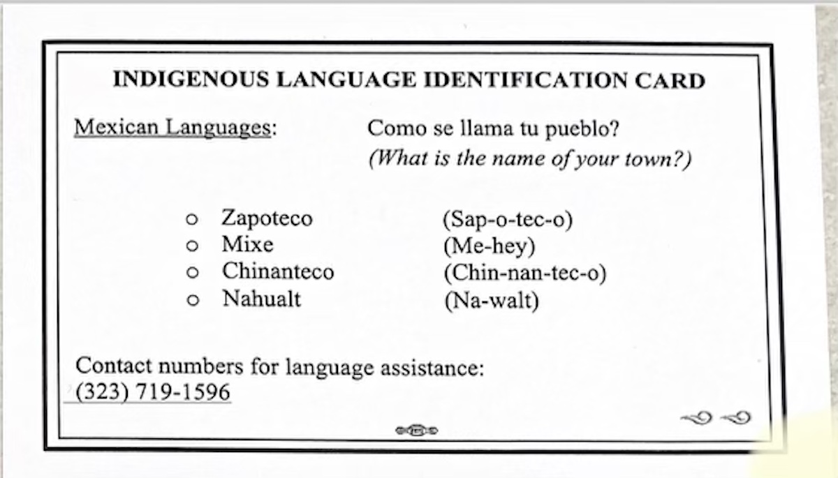 LAPD relanza tarjetas de identificación de lenguas indígenas - La Opinión