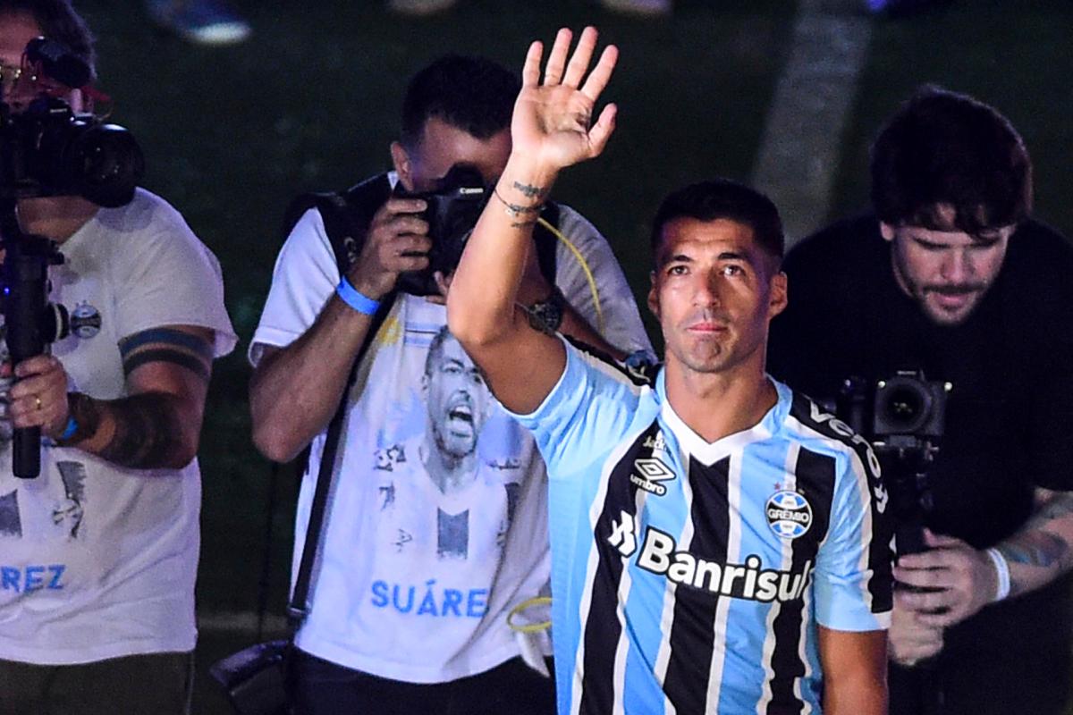 Luis Suárez en su presentación con Gremio: "Me gustan los desafíos difíciles" - La Opinión