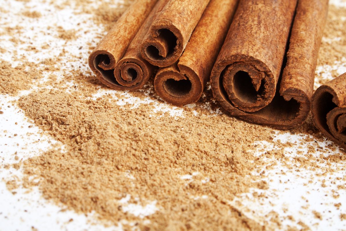 Cómo usar la canela para limpiar la casa de las malas energías - La Opinión Cómo usar la canela para limpiar la casa de las malas energías - La Opinión