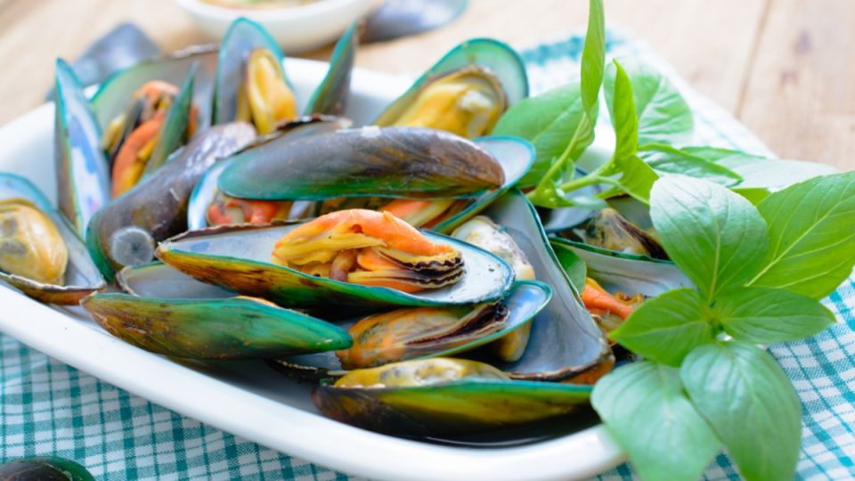Anti-envejecimiento: incluir mejillones verdes en tu dieta aporta ...
