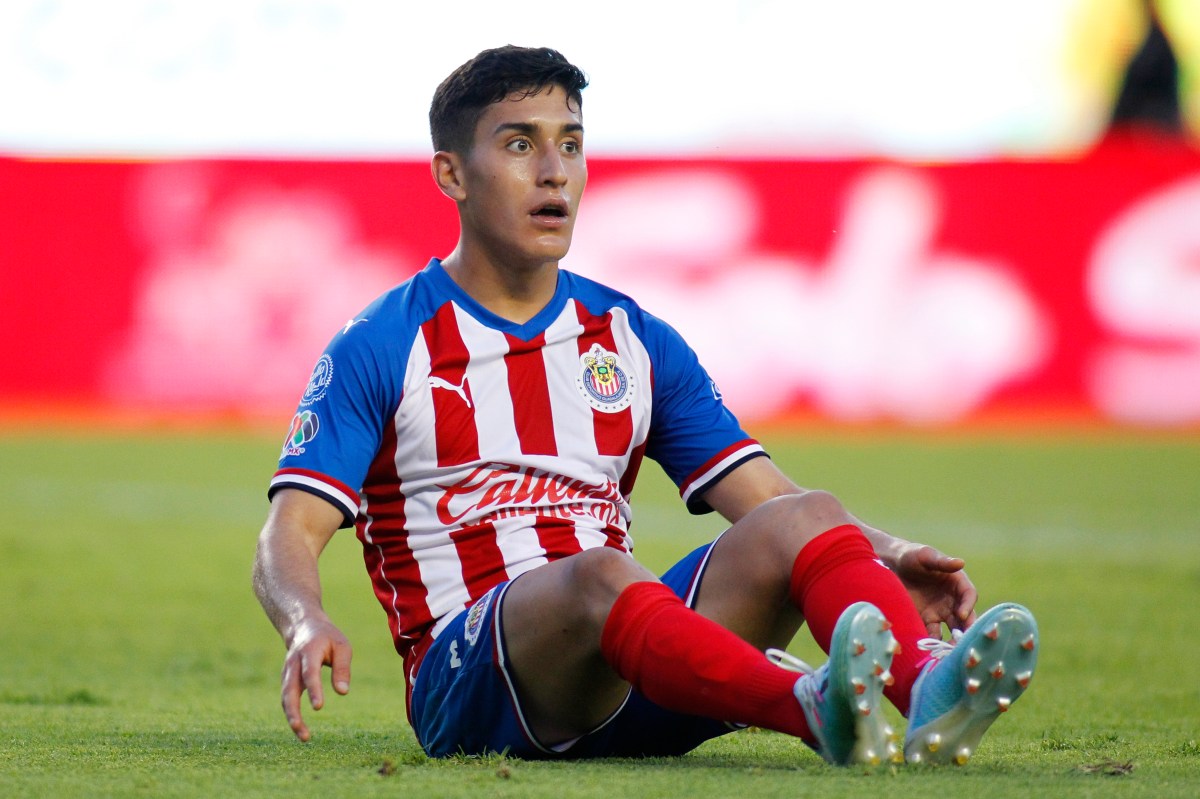 Revelan motivo por el cual Alejandro Zendejas no pudo brillar con las ...