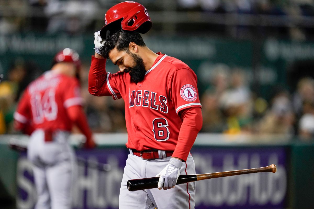 Polémica de Anthony Rendon por agresión a un fan culminó con cuatro ...