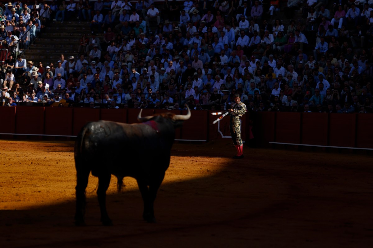 Torero mexicano casi muere tras recibir fuerte golpe; David Faitelson ...