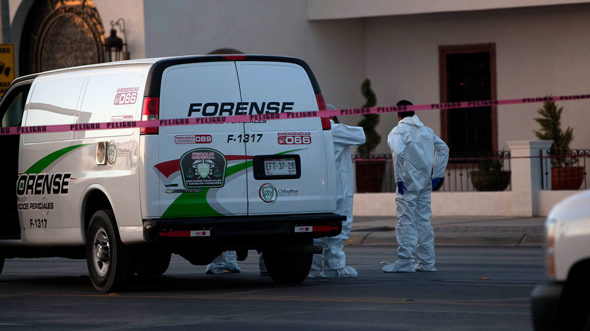 El Cártel Del Noreste Se Atribuyó Los 12 Cuerpos Mutilados Abandonados En Calles De Nuevo León