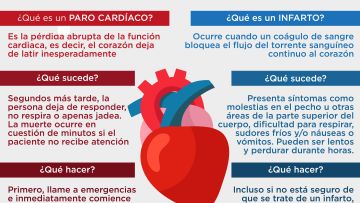 Paro cardíaco: podemos salvar vidas con la Reanimación Cardiopulmonar ...