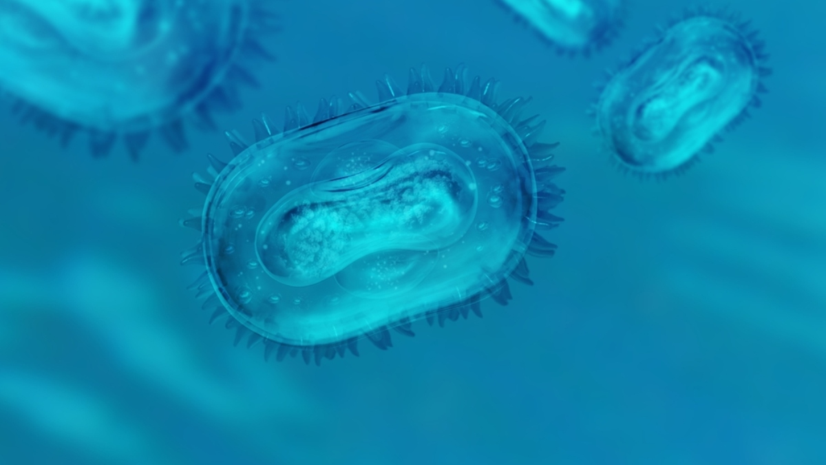 'Clade 9': la nueva variante del virus causante de la varicela ...