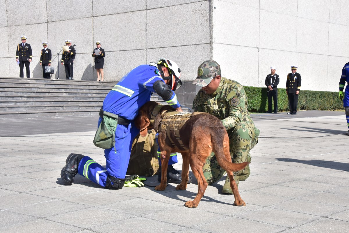 Marina en México rinde homenaje a “Frida”, a un año de la muerte de la ...