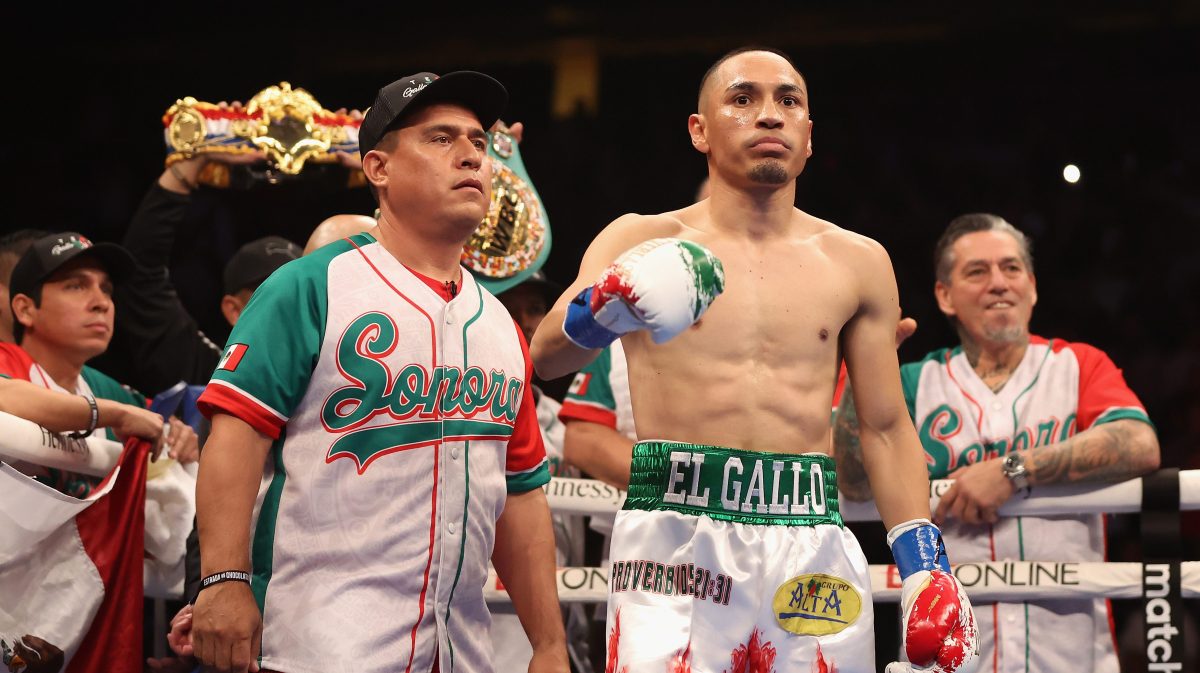Gallo Estrada dice que Canelo Álvarez es el número uno del boxeo ...