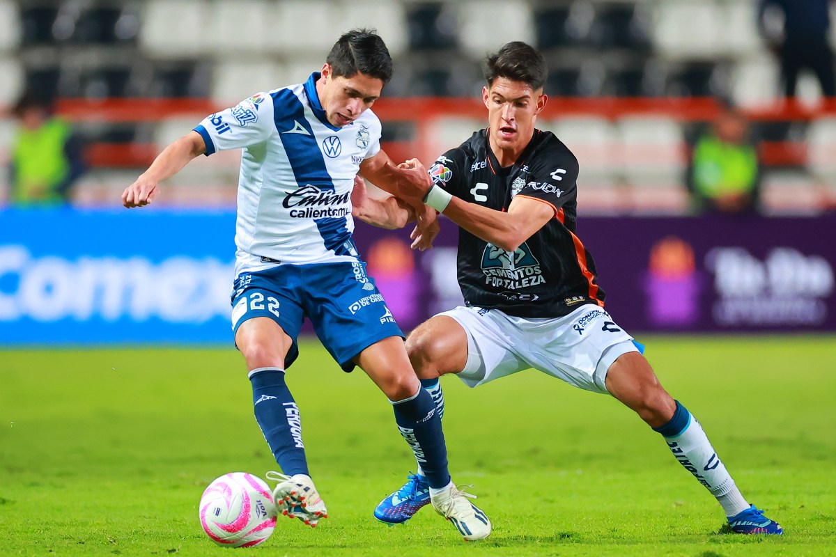 José Castillo se convierte en el primer refuerzo de las Chivas de Guadalajara de Fernando Gago ...