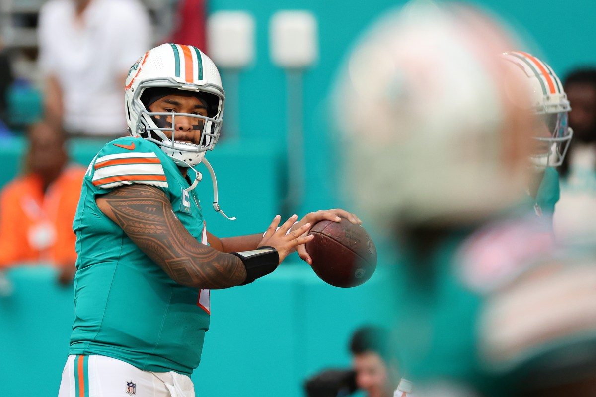 Los Dolphins ya aseguran estar en los playoffs - La Opinión