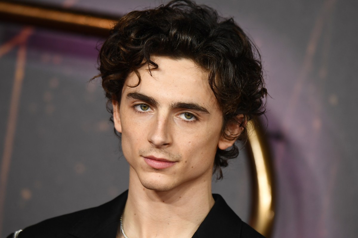 Timothée Chalamet es nombrado "el hombre más guapo del mundo" de 2023 ...