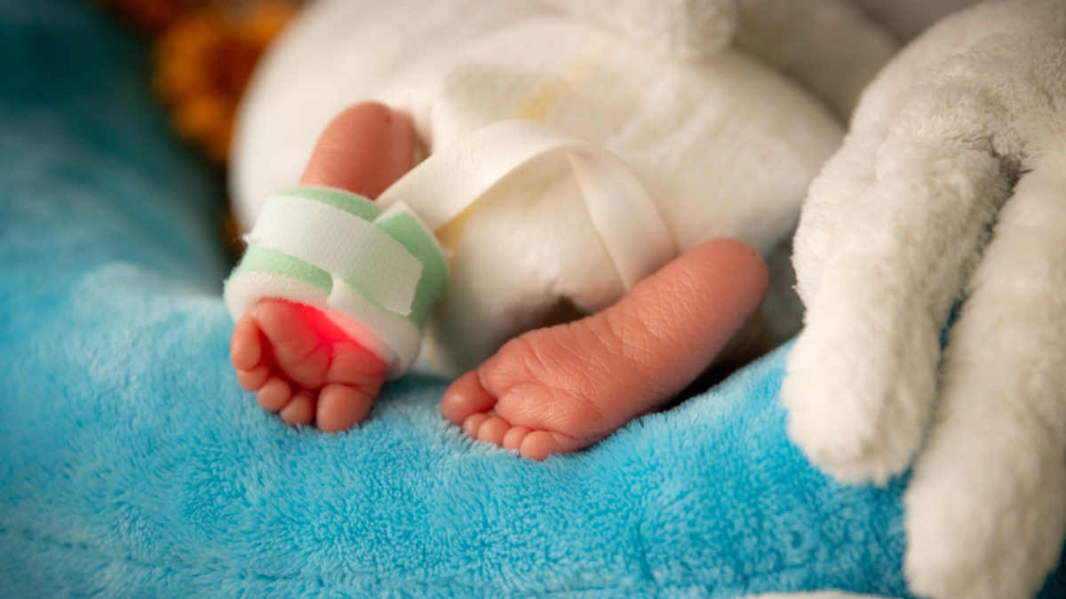 Nacimientos de bebés en Estados Unidos aumentaron en 2024 - La Opinión