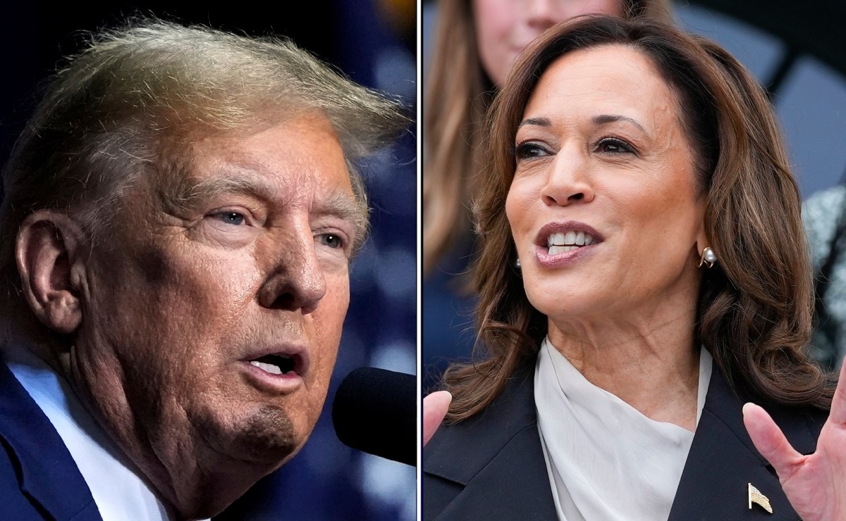 Votantes latinos apoyan más a Kamala Harris que a Trump - La Opinión