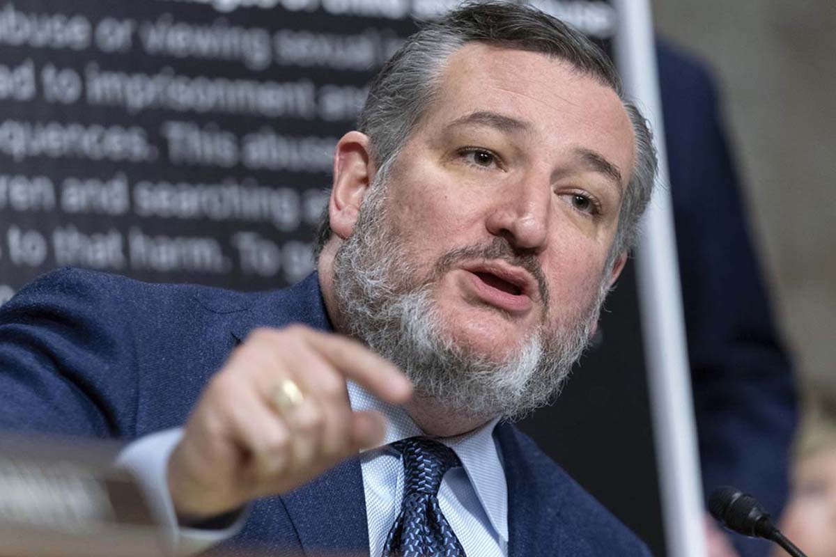 Ted Cruz proyecta que Kalama Harris o Michelle Obama podrían reemplazar ...
