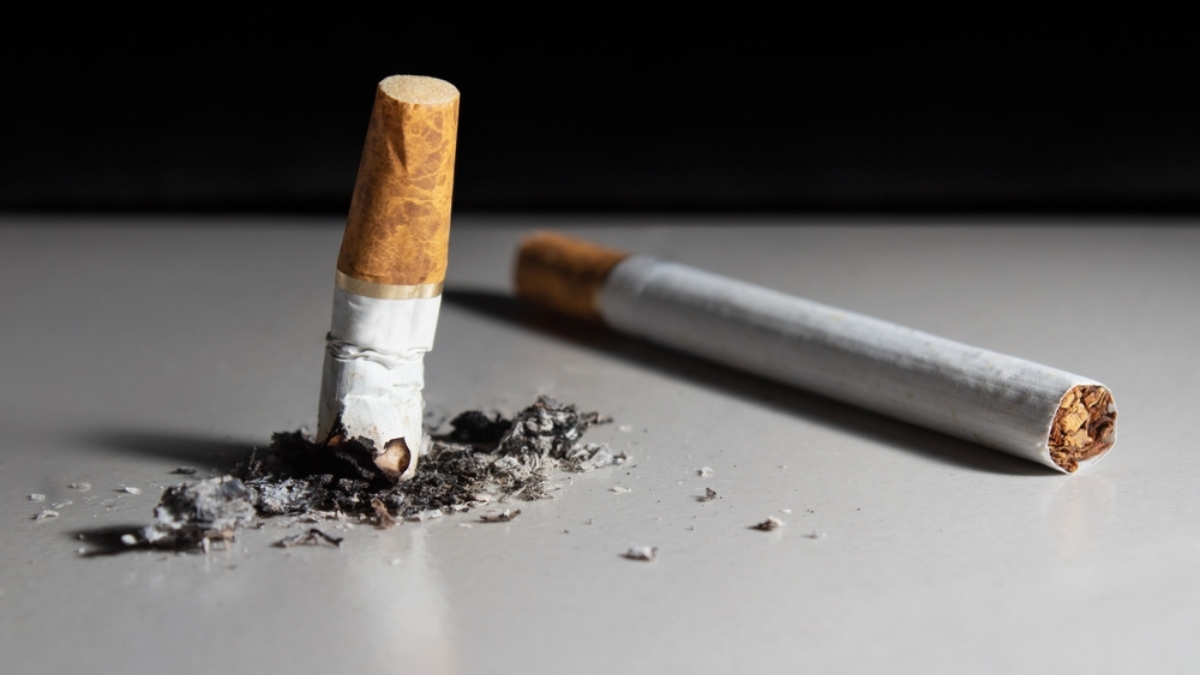 Fumar es la principal causa de cáncer entre los estadounidenses - La ...