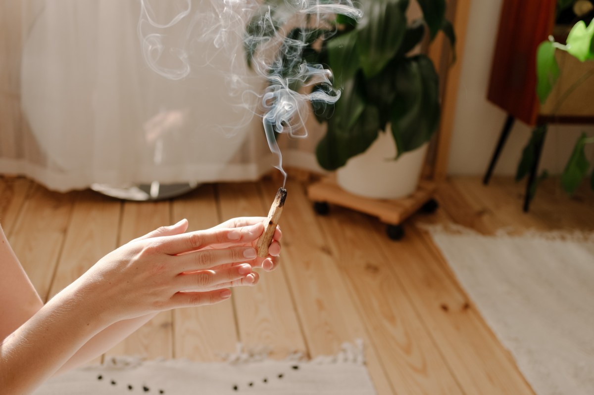 Palo santo: conoce su significado y para qué sirve en los rituales - La ...