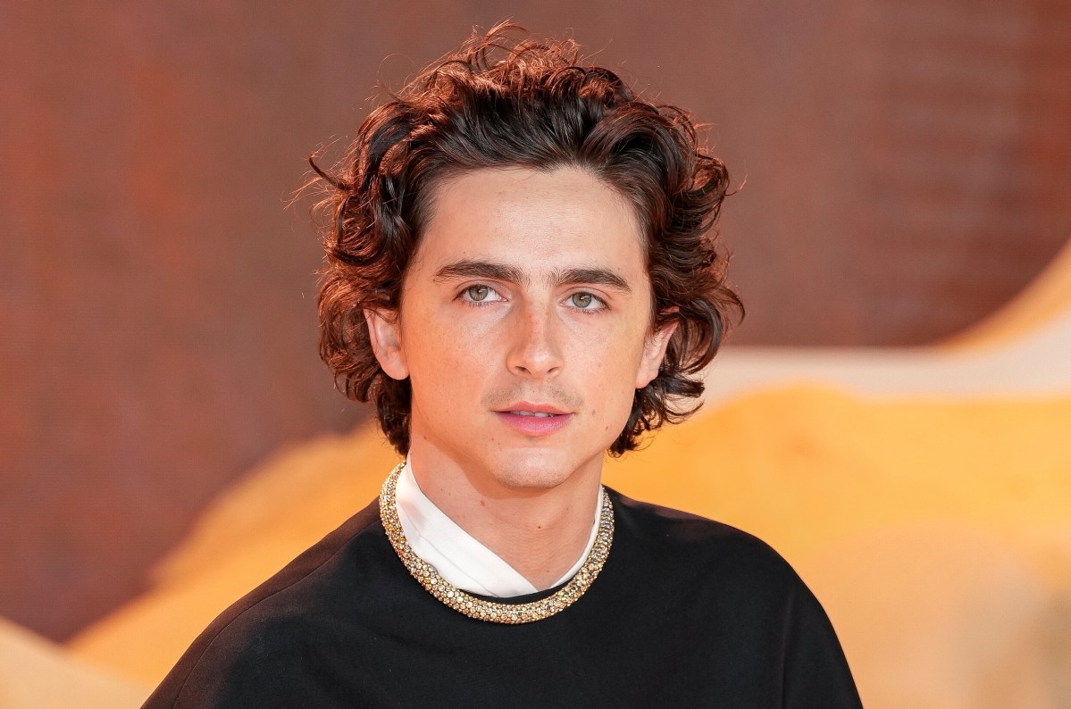 Fue estrenado el trailer de "A Complete Unknown", con Timothée Chalamet ...