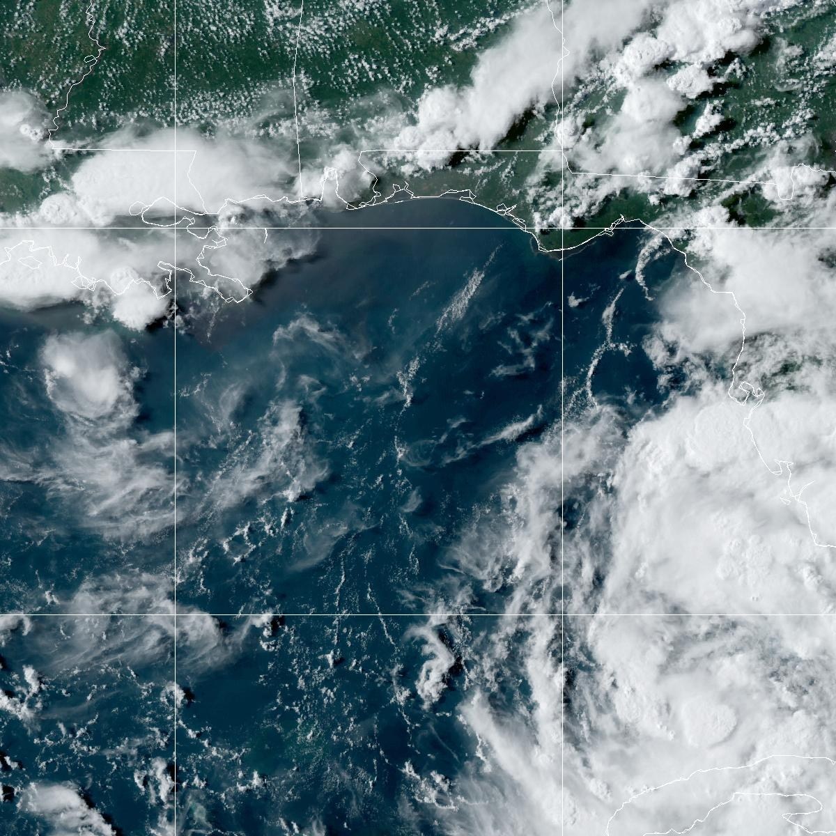 Debby se fortaleció a tormenta tropical y amenaza a Florida - La Opinión