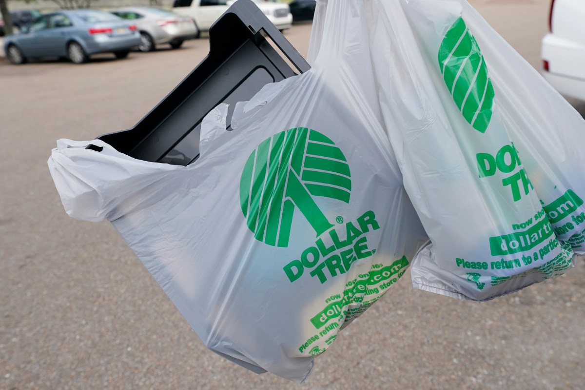 Así puede comprar con $20 en Dollar Tree - La Opinión