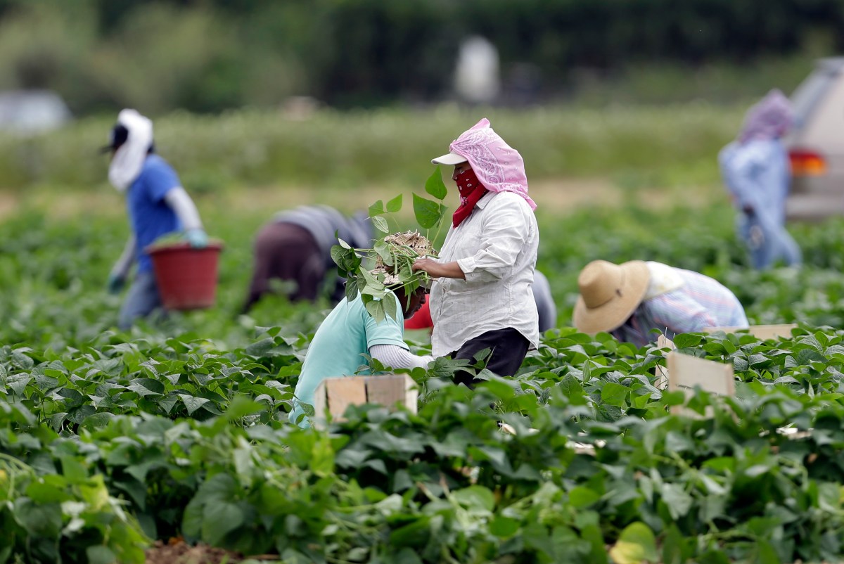 Latinos en EEUU representan la quinta economía del mundo - La Opinión