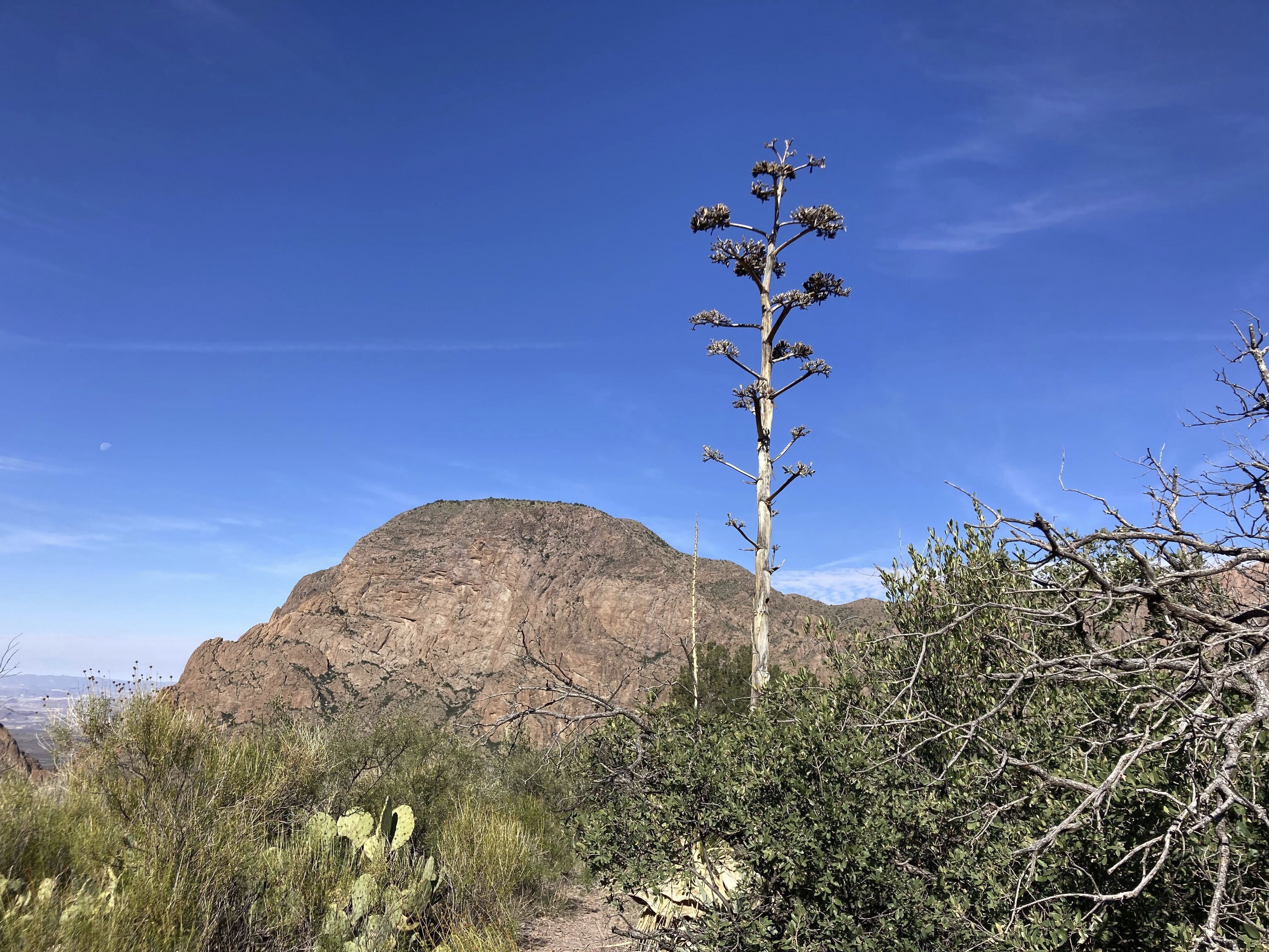 Encuentran muerto a excursionista en parque nacional de Texas - La Opinión