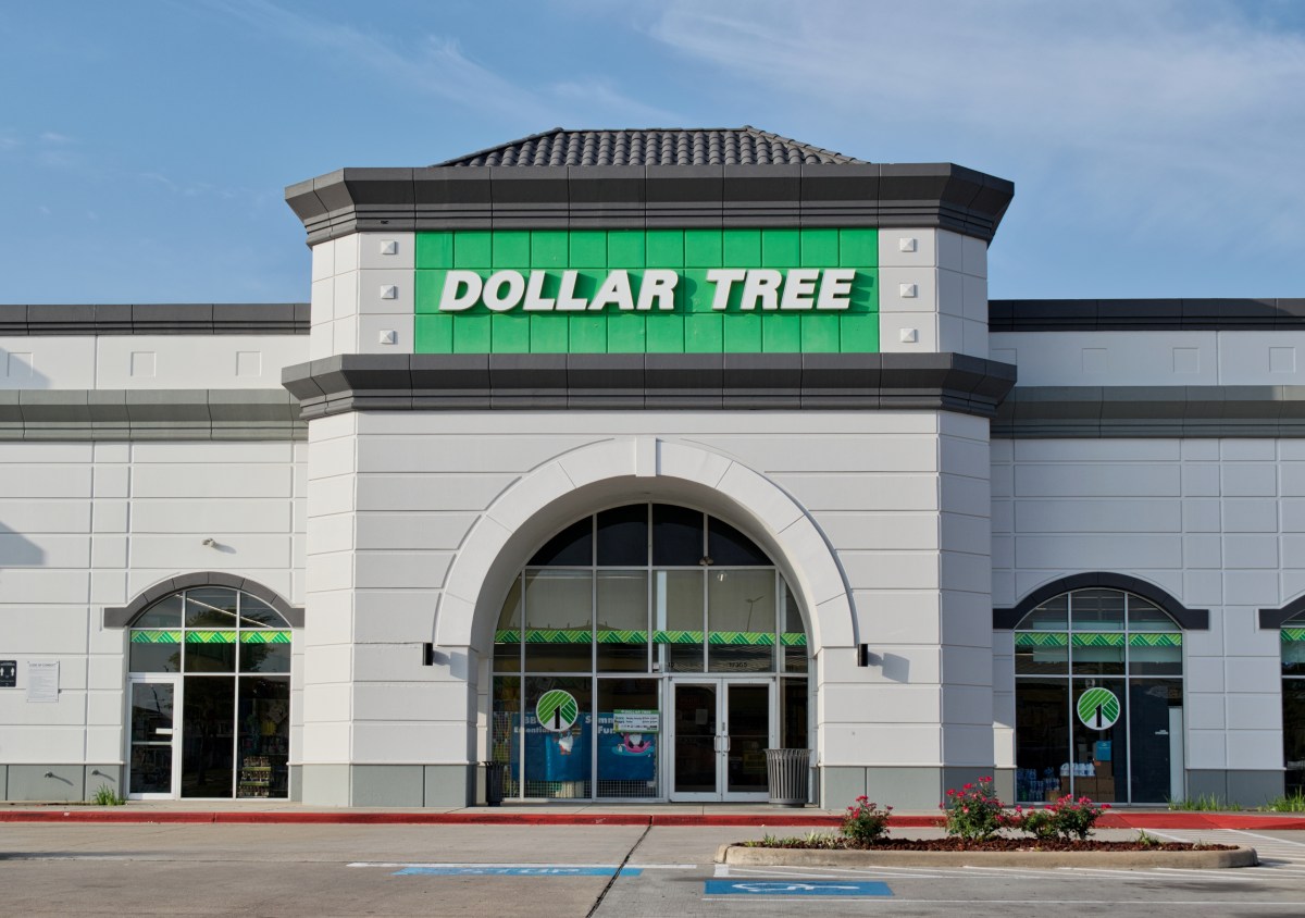 Dollar Tree tiene 6 nuevos productos que deberías comprar - La Opinión