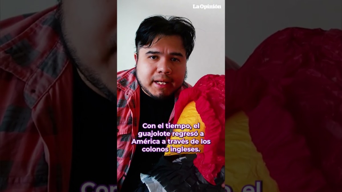 El verdadero origen del pavo en Thanksgiving| La Opinión - La Opinión